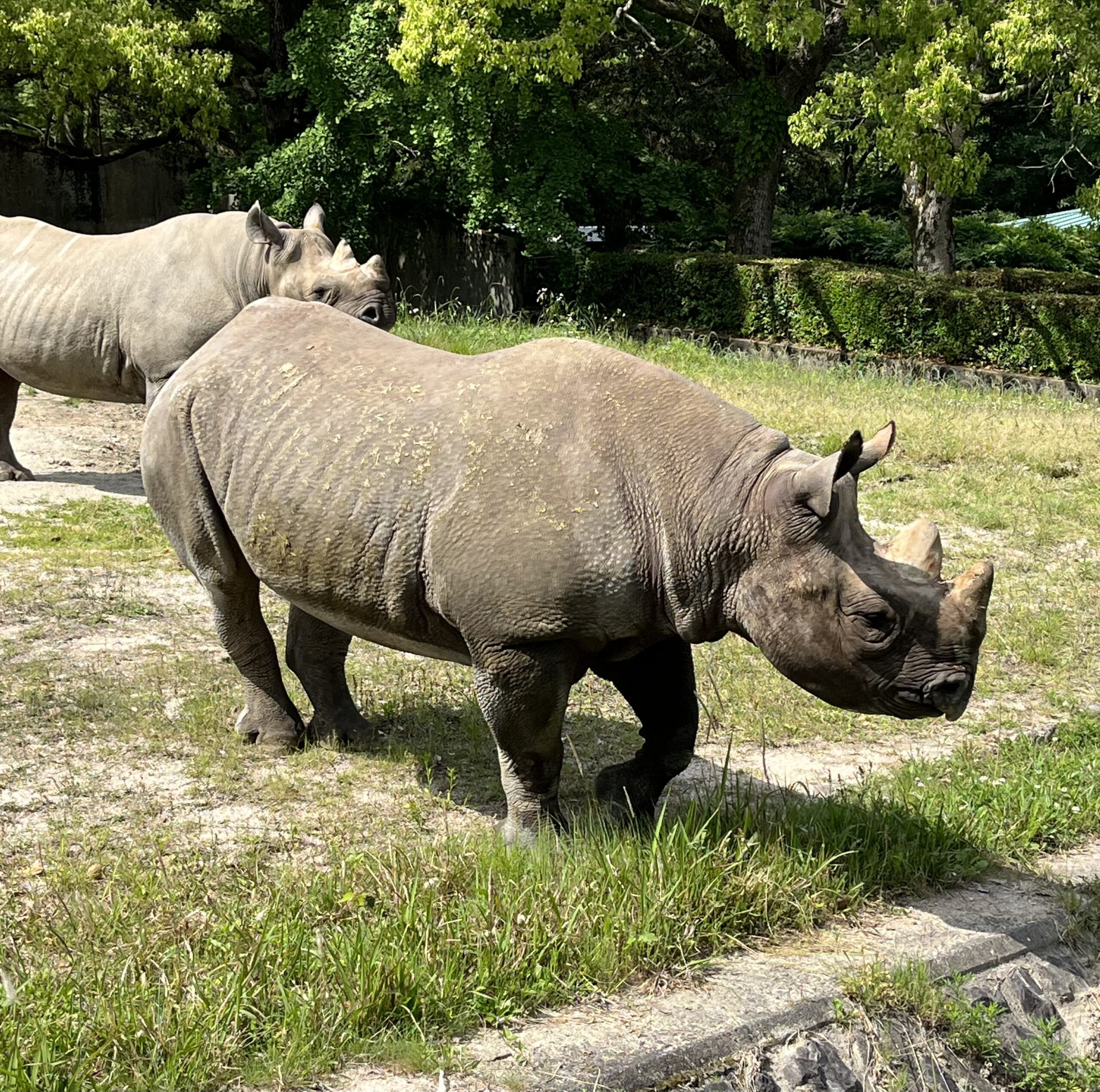 IMG_2687 – CMBO相談室